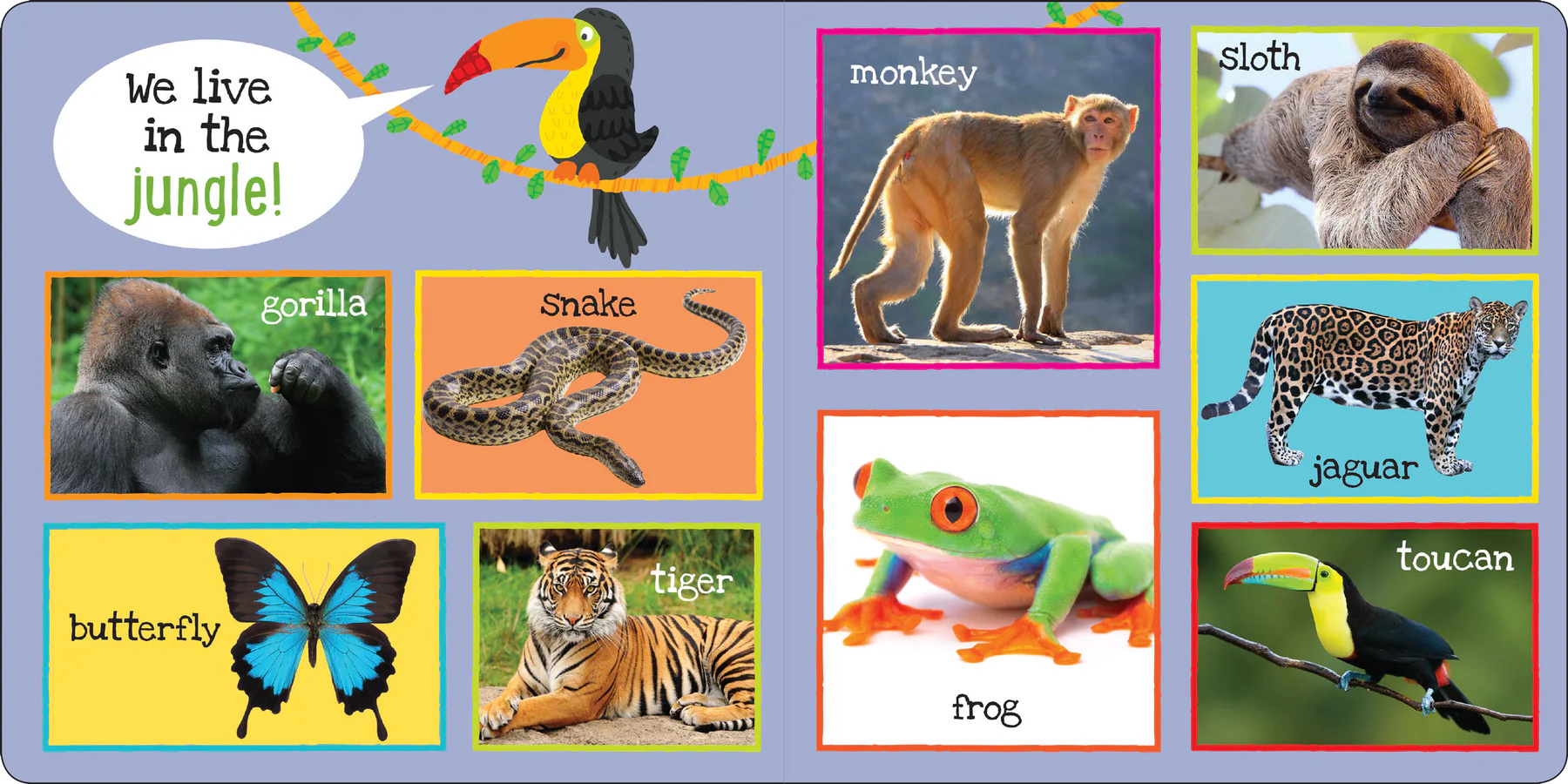 My First 101 Animals Board Book – Peter Pauper Press – Luxe